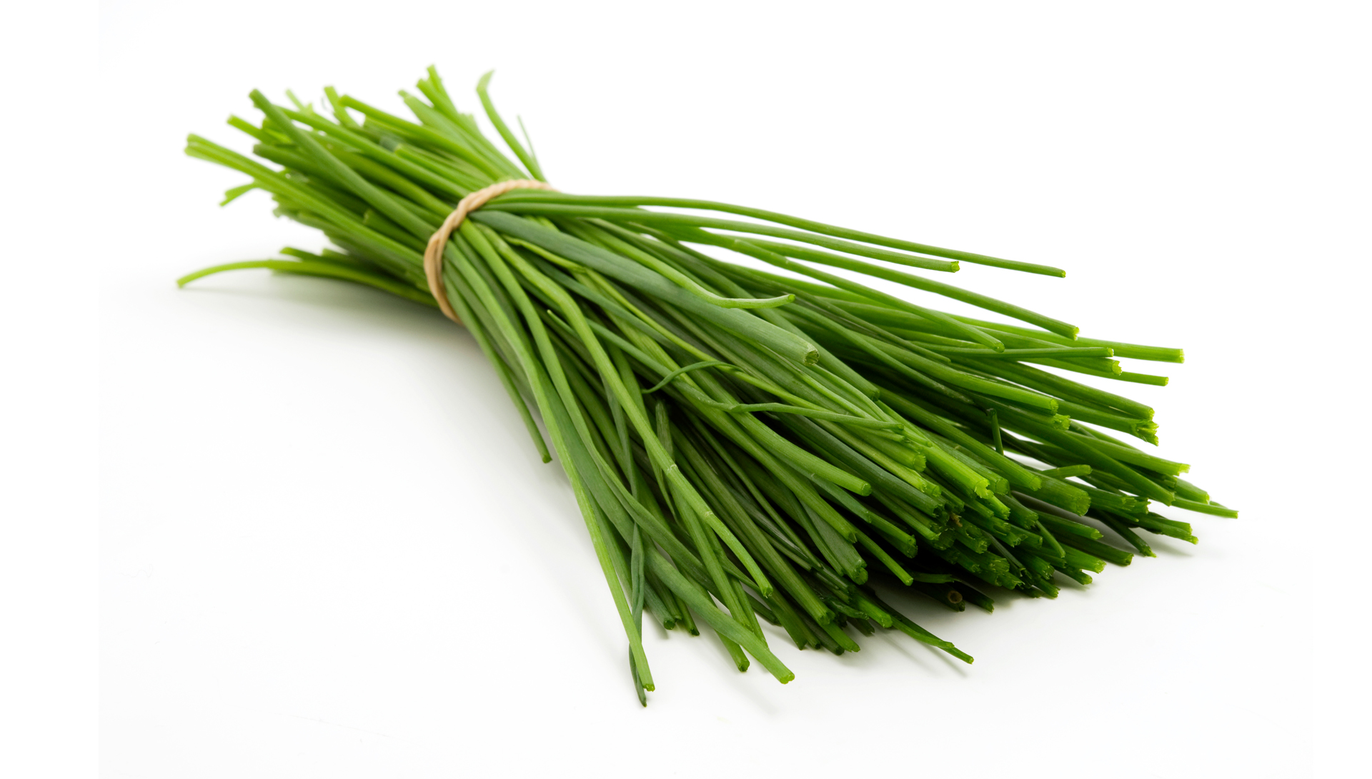 Herbes aromatiques – Ciboulette